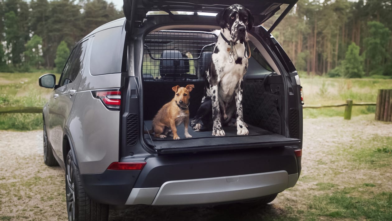 Land Rover launches optional Pet Packs | Carbuyer